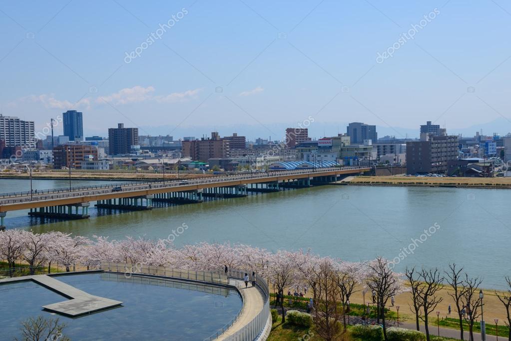 Cherry blossoms and Shinano river — Stock Photo © hiro1775 #66103063
