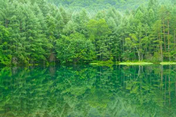 Mishaka Pond Stock Photo by ©hiro1775 72827169