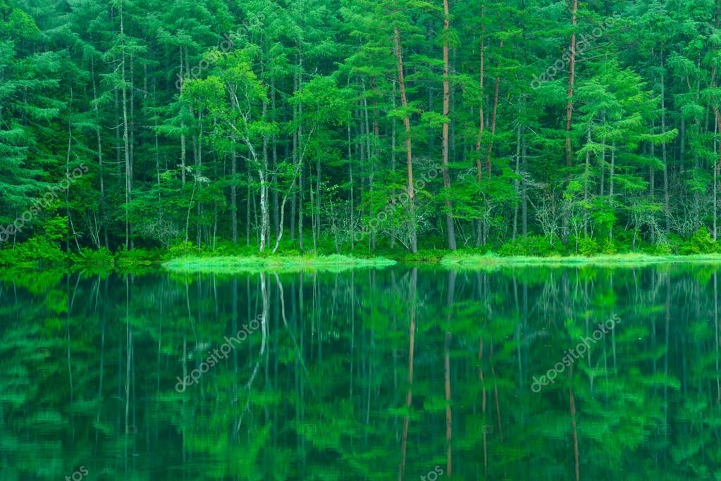 Mishaka Pond Stock Photo by ©hiro1775 72827169