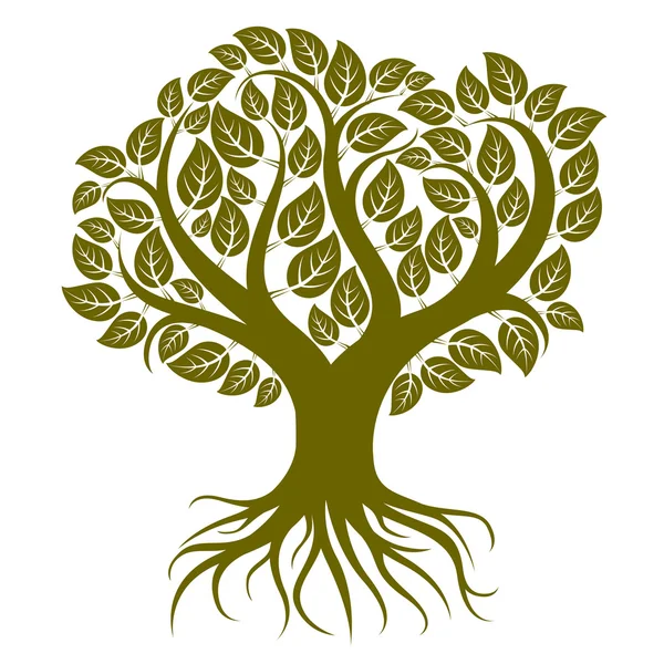 Strong tree Vector Art Stock Images | Depositphotos
