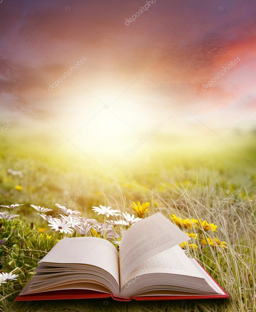 Open book — Stock Photo © stillfx #54259615