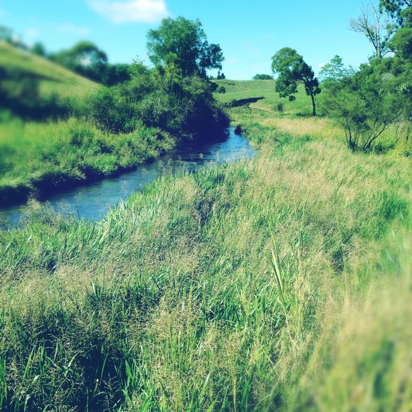 ᐈ Spring water stock images, Royalty Free photos of spring water ...