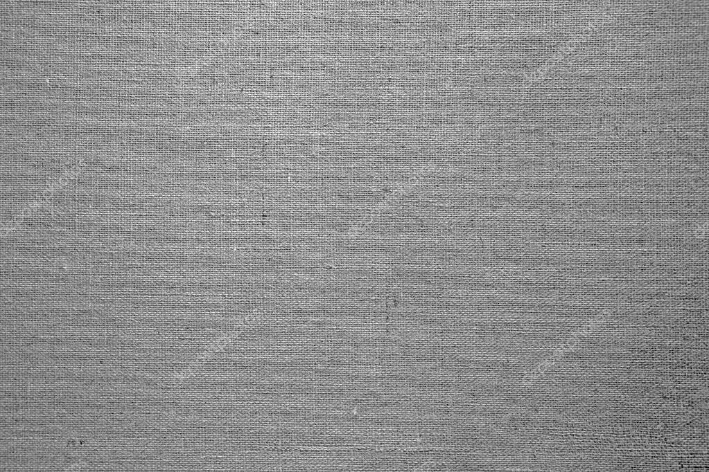 Blank Canvas Texture