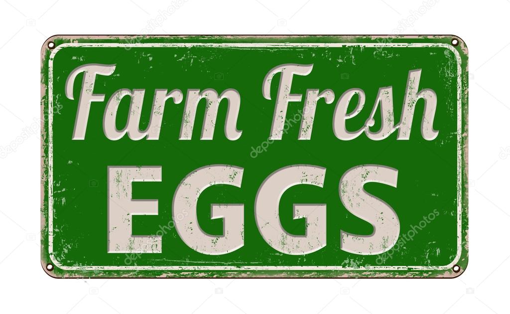 Farm fresh eggs rusty metal sign Stock Vector by ©roxanabalint 112052338
