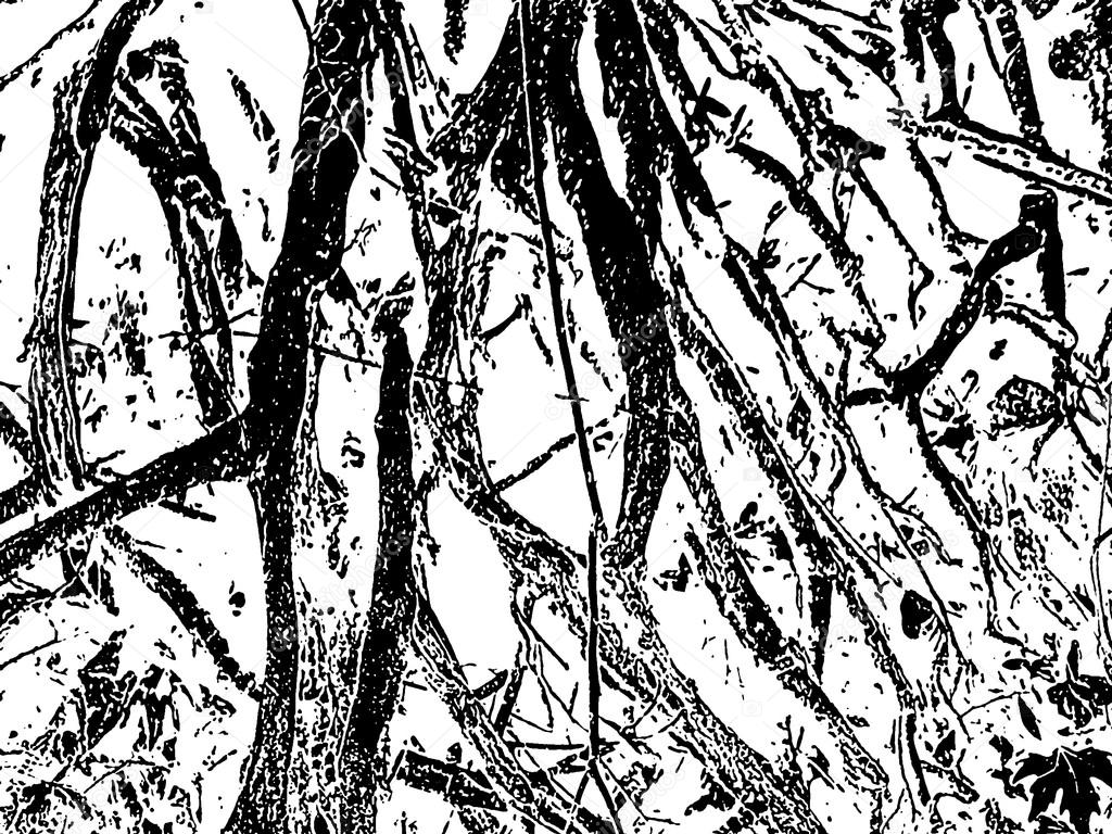 Chaos Tree Roots Stock Vector Image by ©roxanabalint #55633361