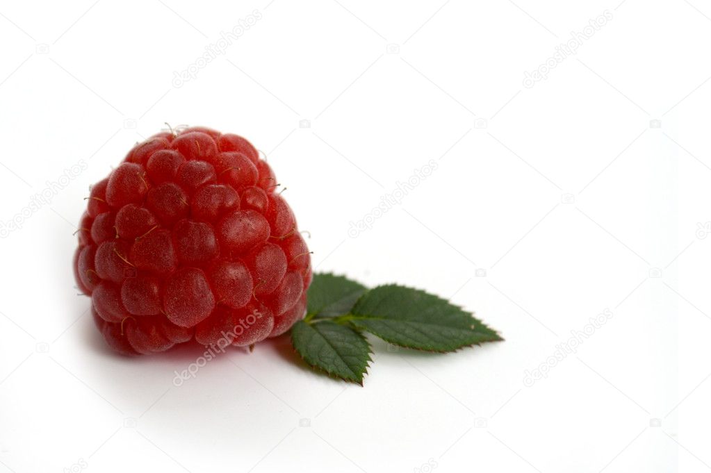 Red raspberry — Stock Photo © roxanabalint #74807077