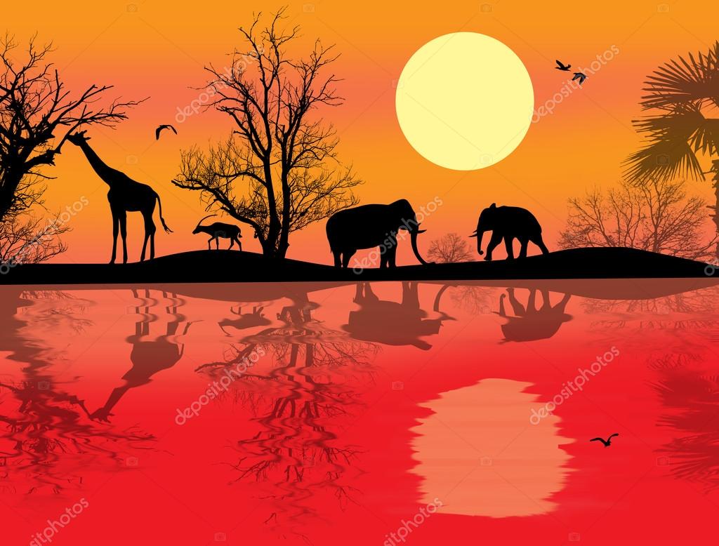 African safari theme Stock Vector Image by ©roxanabalint #84687332