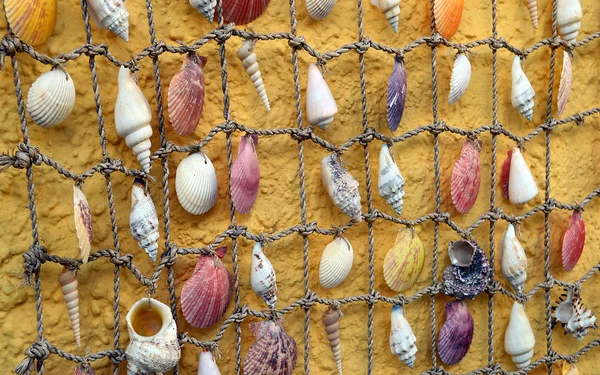 Seashell border Stock Photos, Royalty Free Seashell border Images ...