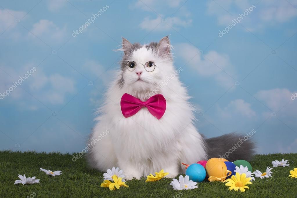 Cat in the suit bunny celebrates Easter — Stock Photo © kuban_girl ...