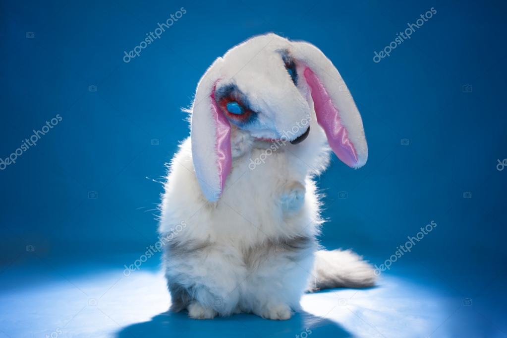 Evil White Rabbit Costume