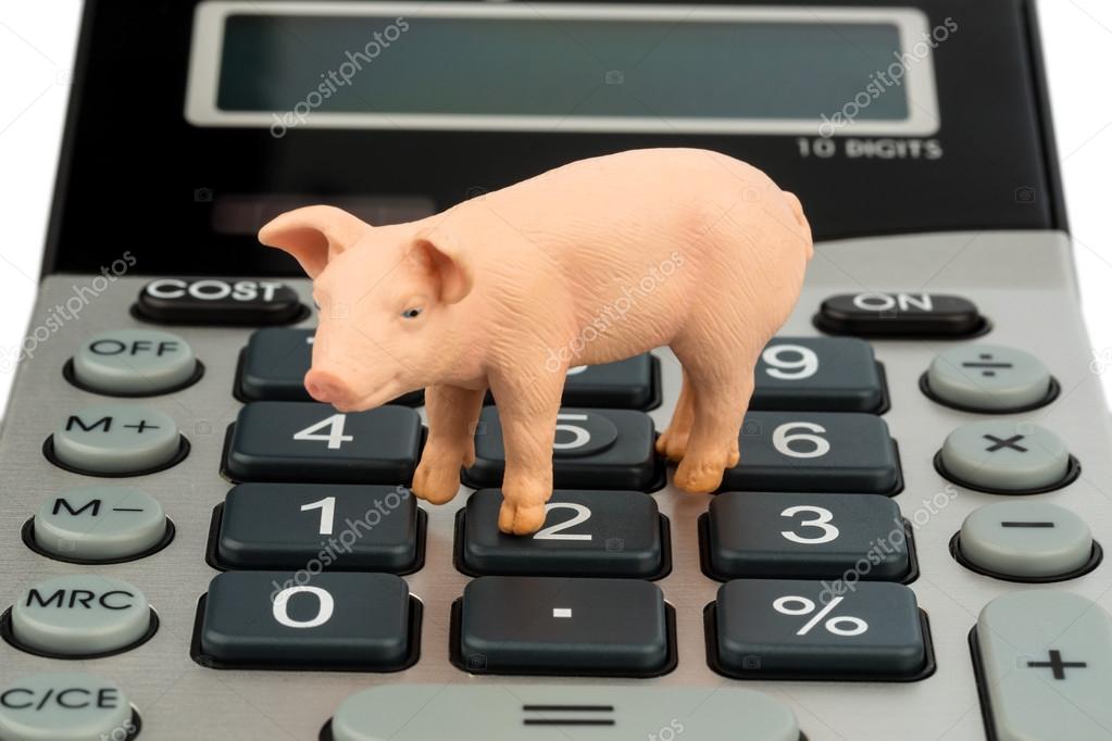 Pig and calculator Stock Photo by ©ginasanders 58361567