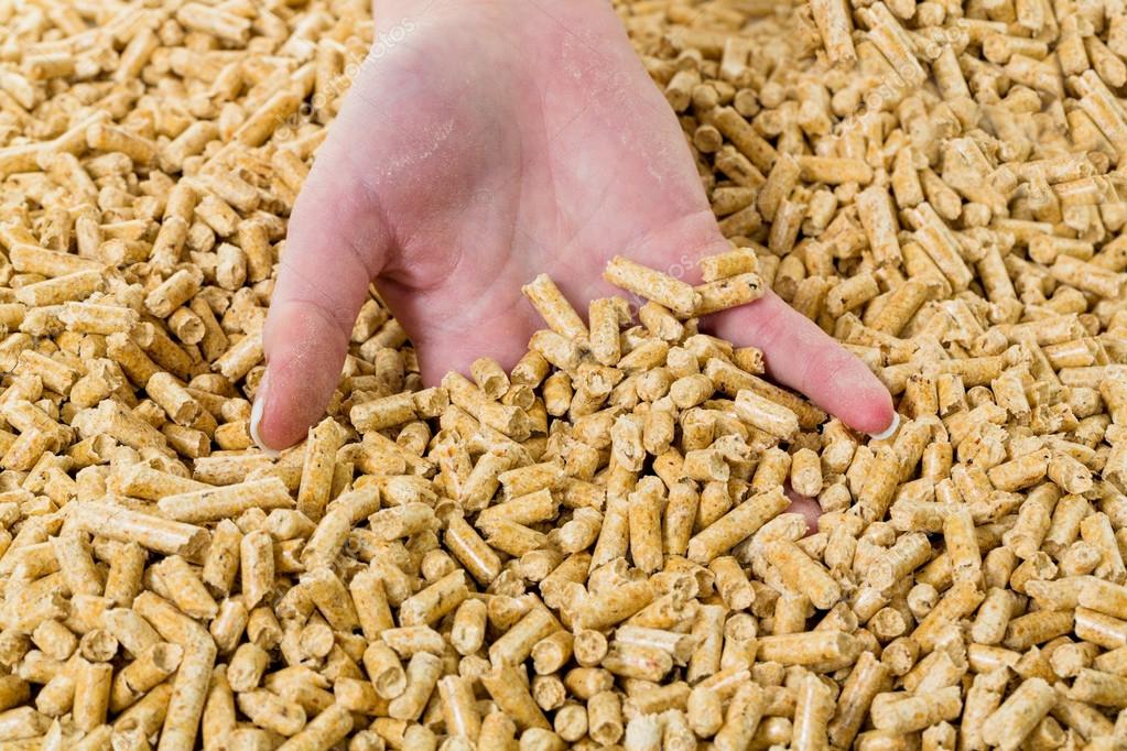 Hand with pellets as old natie energy Stock Photo by ©ginasanders 58386833