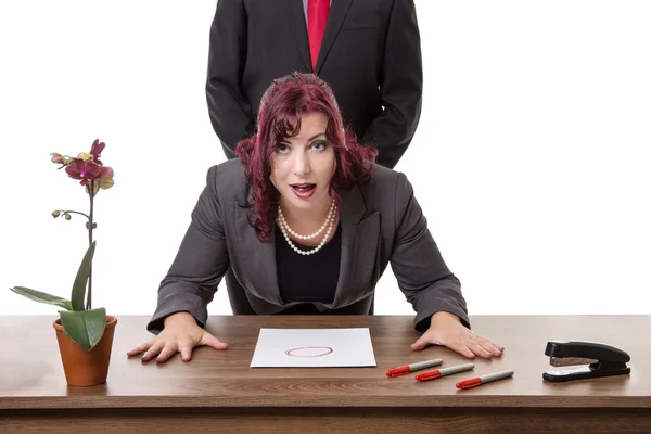 The boss at work Stock Photo by ©jayfish 87768586