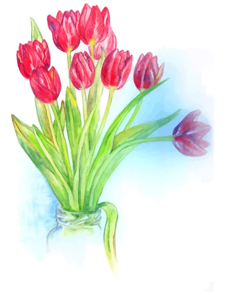 Tulipán rajz Stock vektorok, Tulipán rajz Jogdíjmentes illusztrációk ...