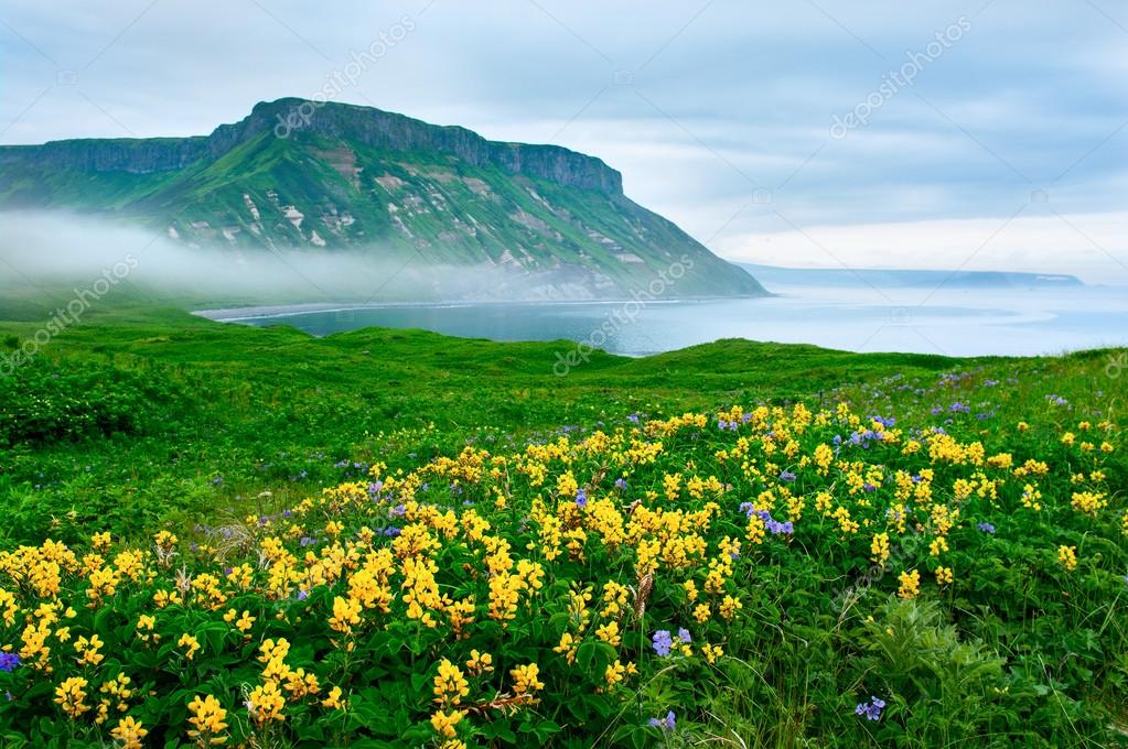 Landscape at Paramushir Island — Stock Photo © Byelikova #78853474