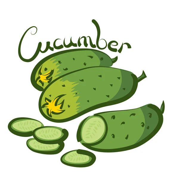 Vector illustration. Green cucumber. Healthy vegetarian food ...