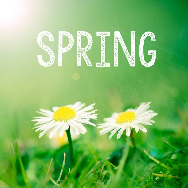 Happy people spring Stock Photos, Royalty Free Happy people spring ...