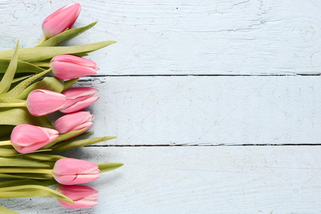 Beautiful pink Tulips — Stock Photo © roobcio #64601271