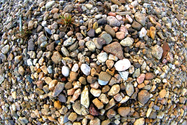 Pebbles embedded stone texture Stock Photos, Royalty Free Pebbles ...