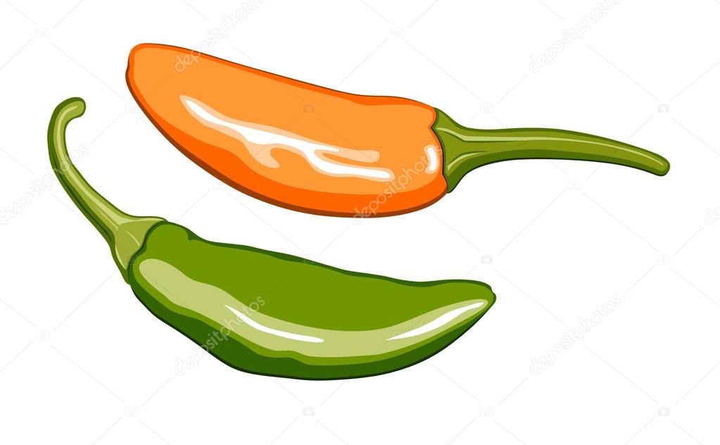 Vector illustration of chillies Stock Vector by ©oorka5 101701000