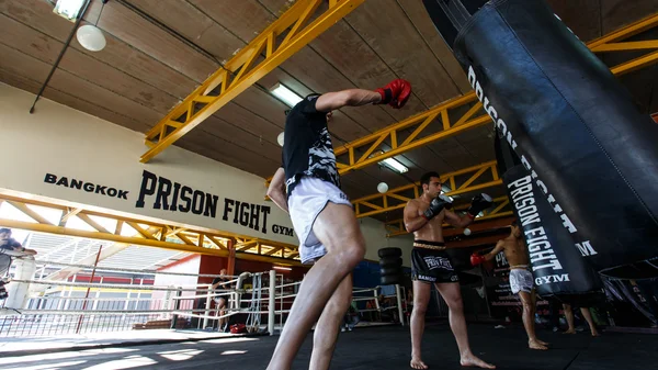 Octagon fighting ring Stock Photos, Royalty Free Octagon fighting ring ...