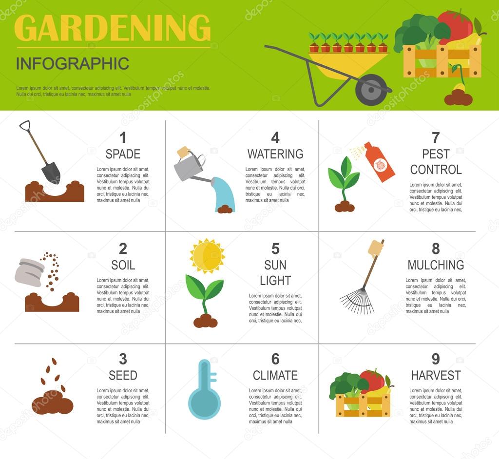 Gardening work, farming infographic. Graphic template. Flat styl ...