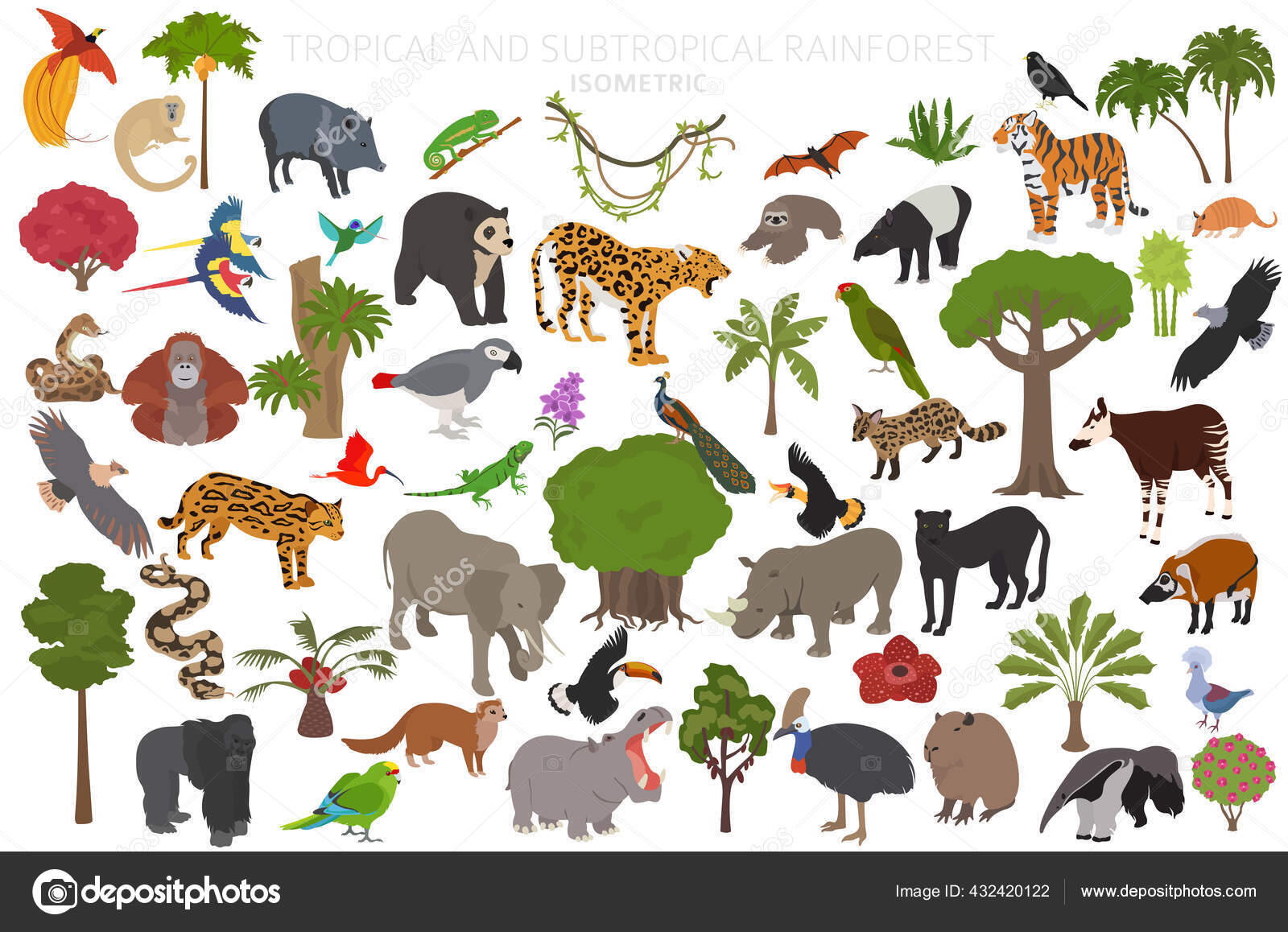 Animales De La Selva Tropical Para Imprimir Animales De La Selva De