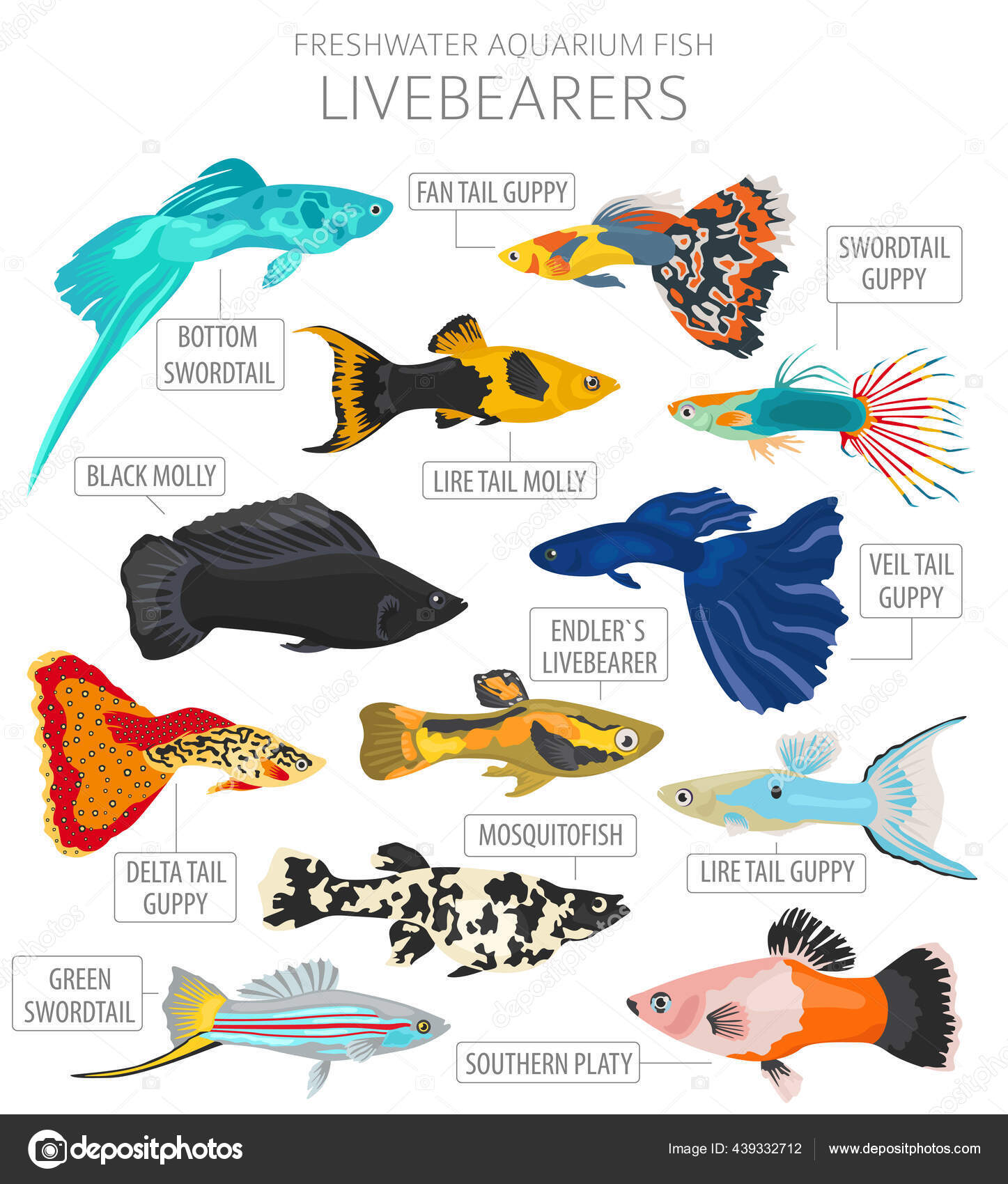 Livebearers Fish Freshwater Aquarium Fish Icon Set Flat Style Isolated ...