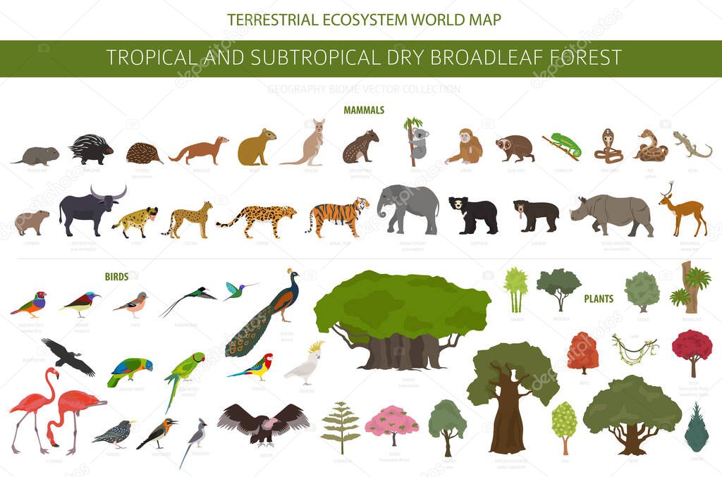 Mapa Del Bioma Del Bosque Seco Tropical