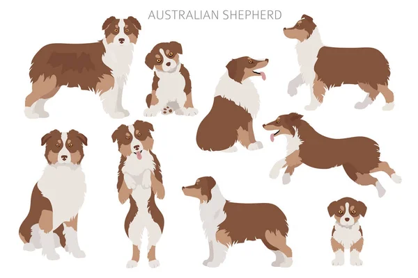 24,291,103 Australian shepherd Vector Images | Depositphotos