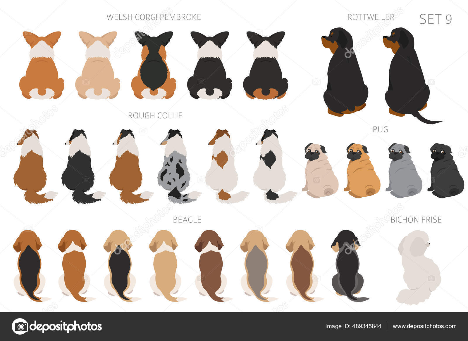 Dog Sitting Back Drawing