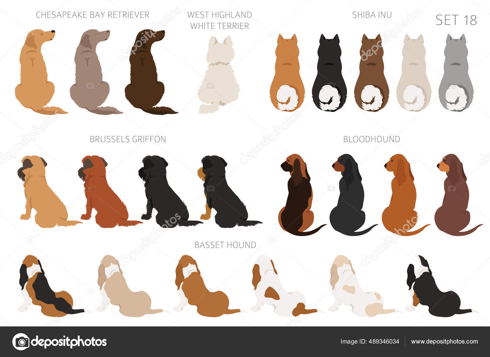 Dog Sitting From Behind Dog Back Sitting Etsy