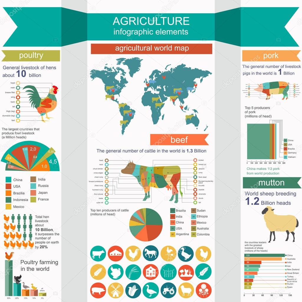 Agriculture, animal husbandry infographics, Vector illustrations Stock ...