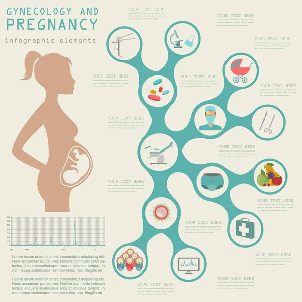Gynecology and pregnancy infographic template. Motherhood elemen Stock ...