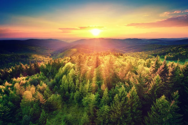 Sunrise over forest Stock Photos, Royalty Free Sunrise over forest ...