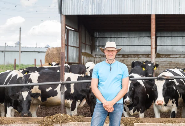 man farmer working on farm with dairy cows - Stock Image - Everypixel