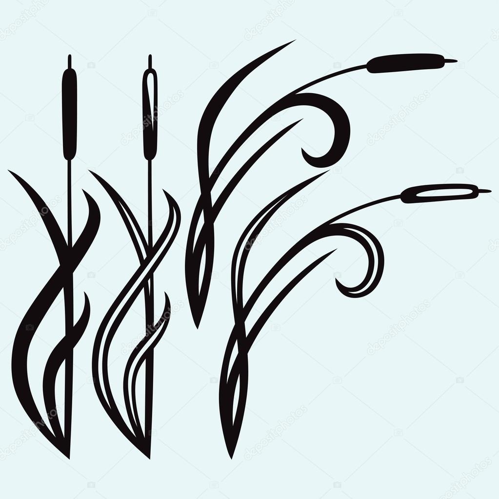 Silhouette reed, vector Stock Vector Image by ©Kreativ #124283318