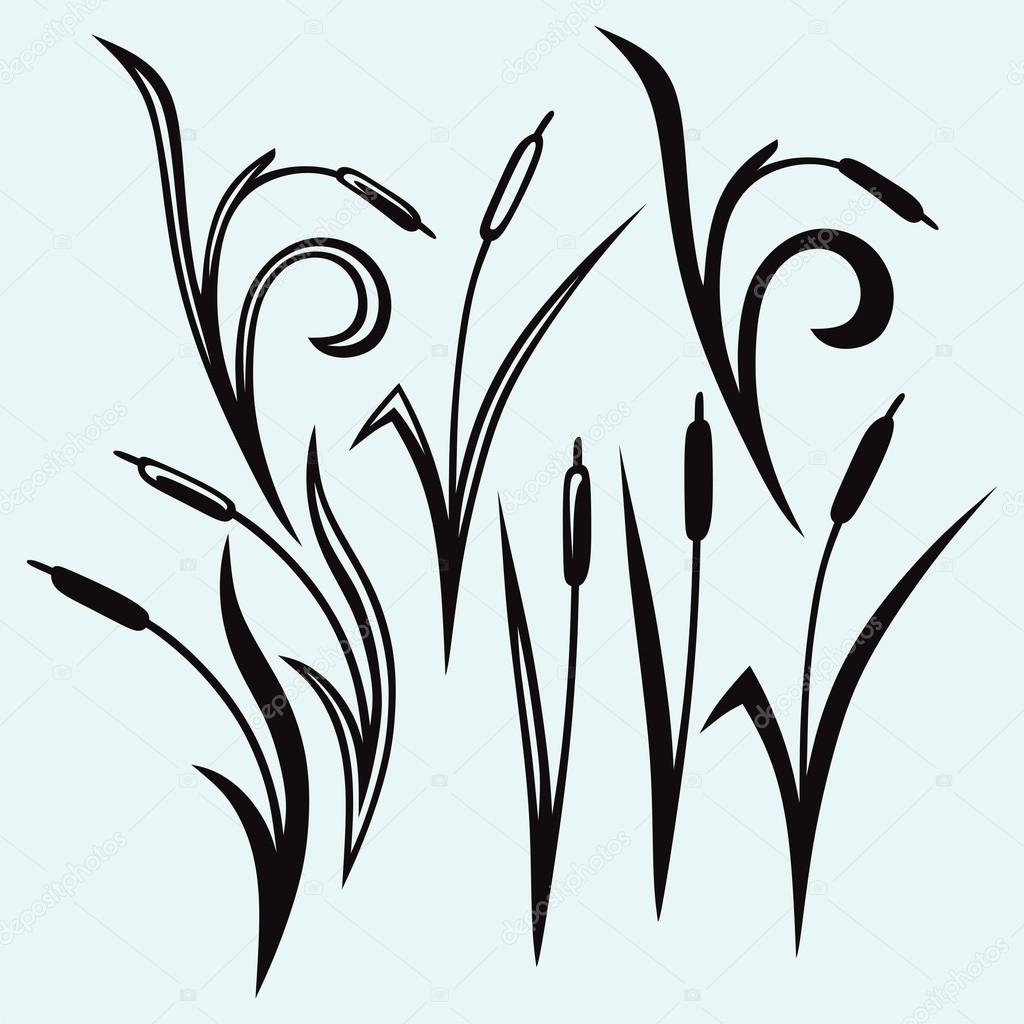 Silhouette reed, vector Stock Vector by ©Kreativ 124283326