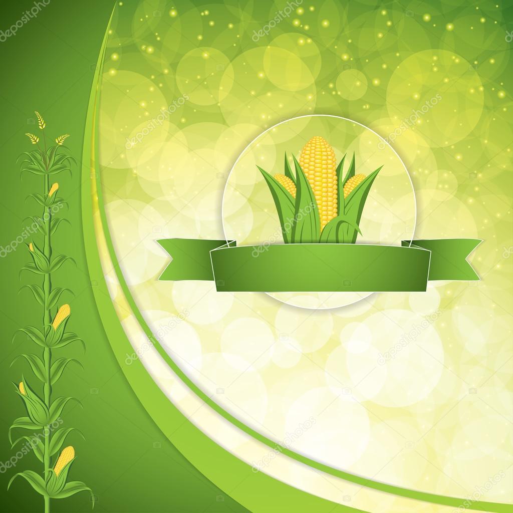 Corn brochure design Stock Vector Image by ©gigello #121144908