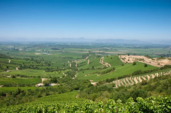 Apalta valley fotos de stock, imágenes de Apalta valley sin royalties ...