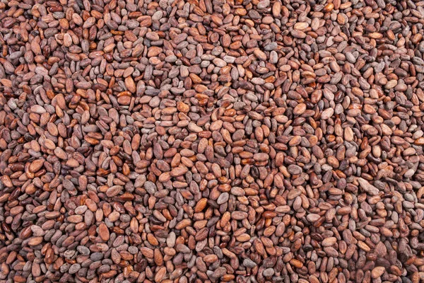 Tan Sesame Seeds — Stock Photo © Digifuture #2429163