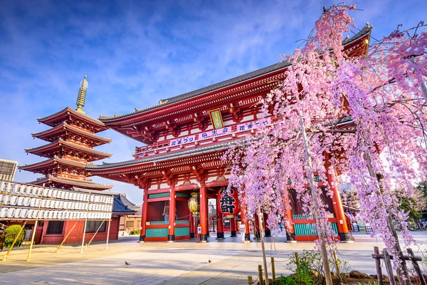 Sensoji temple Stock Photos, Royalty Free Sensoji temple Images ...