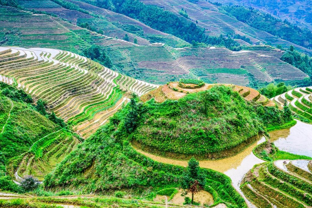 Chinese Rice Terraces — Stock Photo © sepavone #73578137
