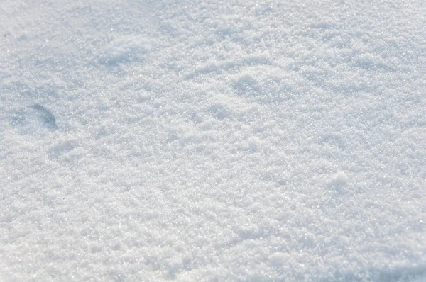 Fresh snow — Stock Photo © indric #1184553