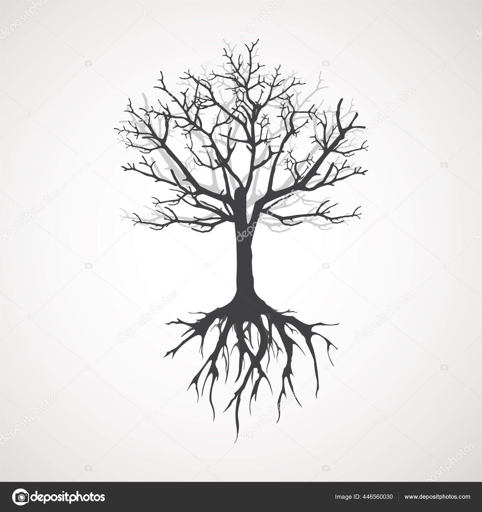 Abstract Tree Roots Vector Outline Illustration Plant Garden Stock ... Abstract Tree Roots Vector Outline Illustration Plant Garden Stock ...