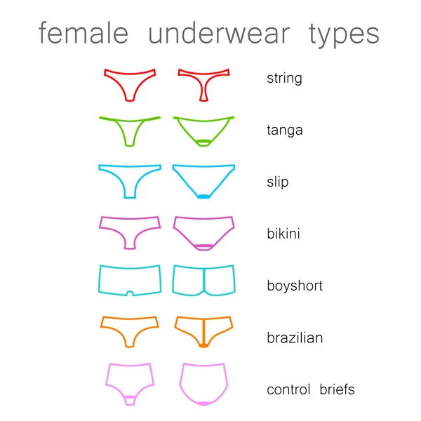 Lingerie types Vector Art Stock Images | Depositphotos