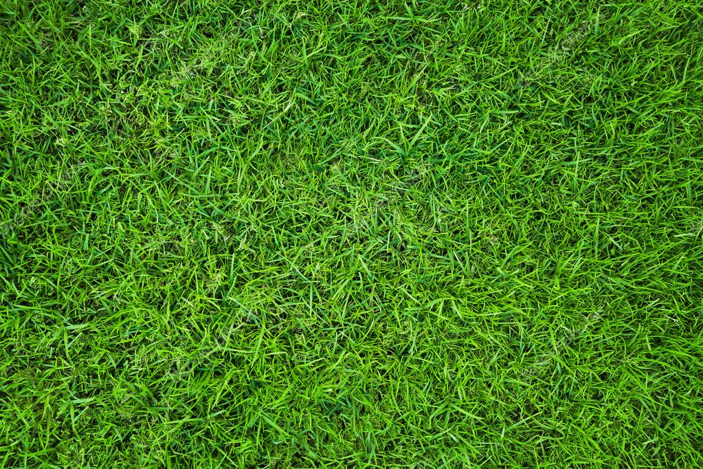 Green grass natural background. Top view Stock Photo by ©robertsrob ...