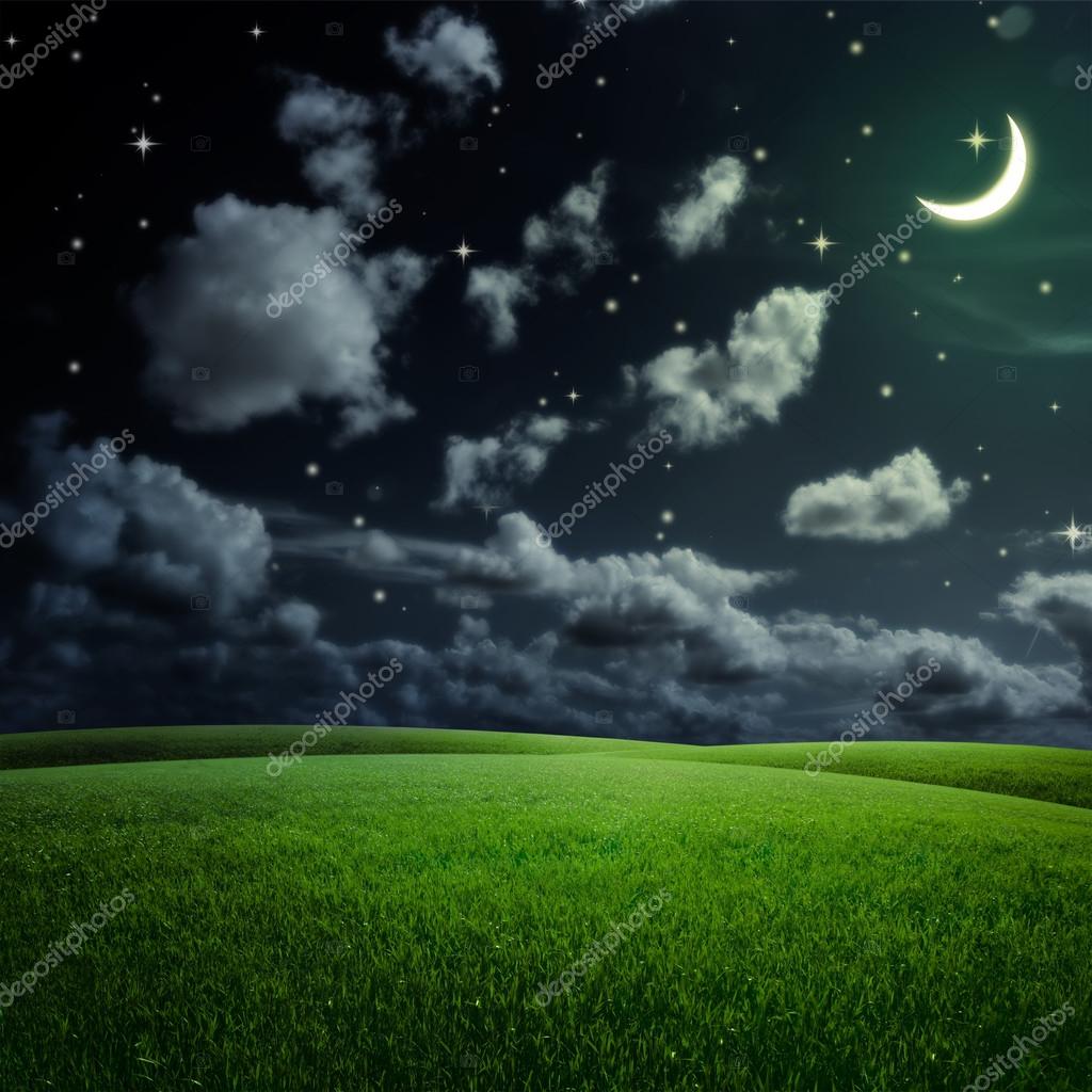 Green field under night sky Stock Photo by ©robertsrob 69687007