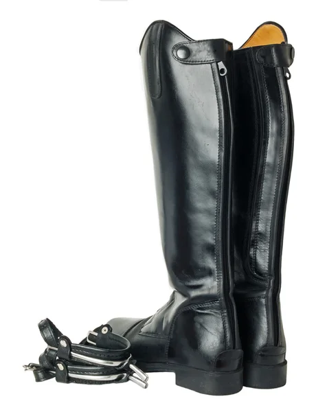 Pacu fotos de stock, imágenes de Pacu sin royalties | Depositphotos