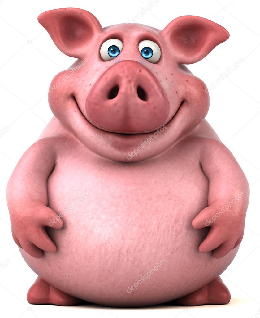 Funny Pig Pictures